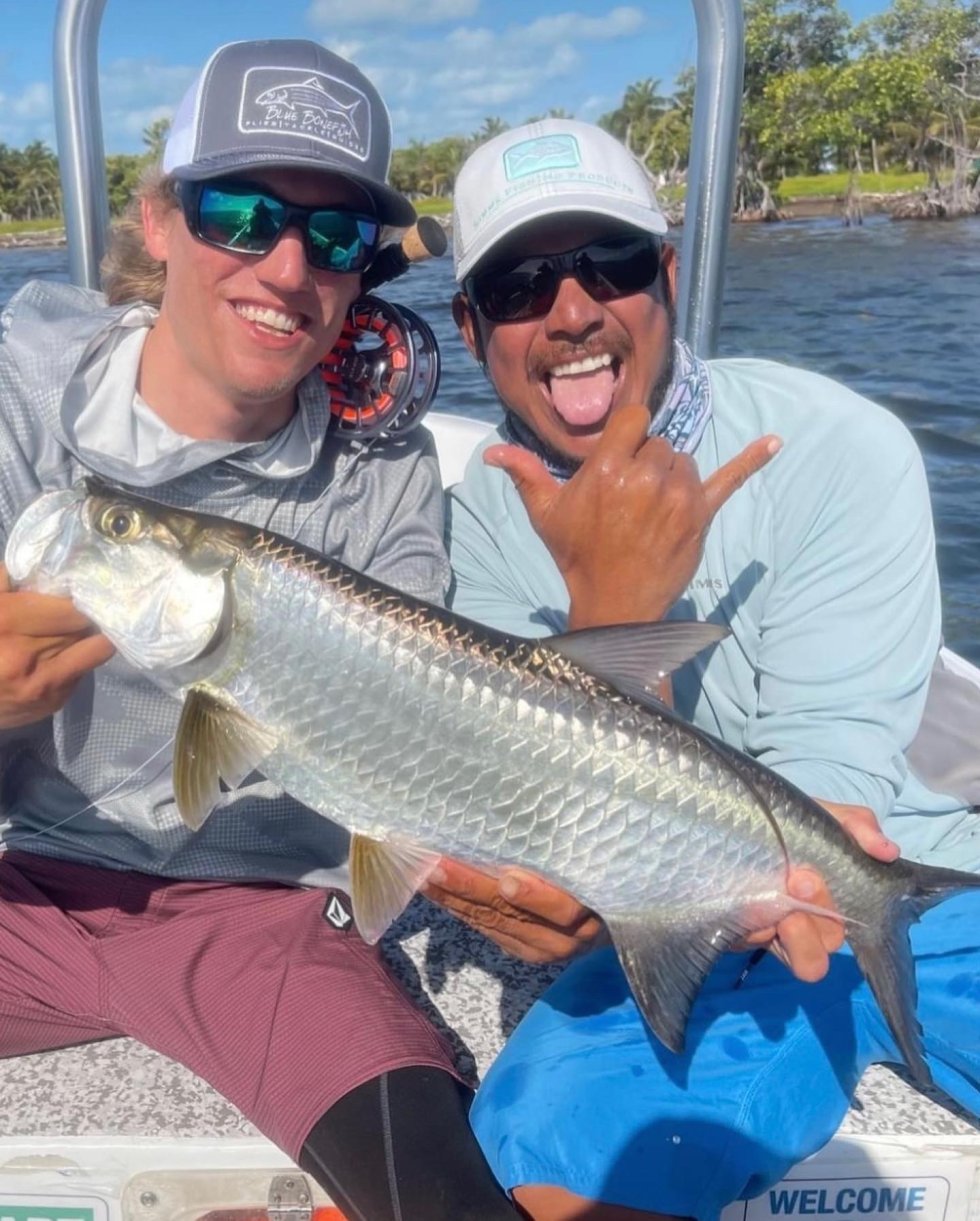 Tarpon - Blue Bonefish