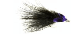 Tarpon - Blue Bonefish